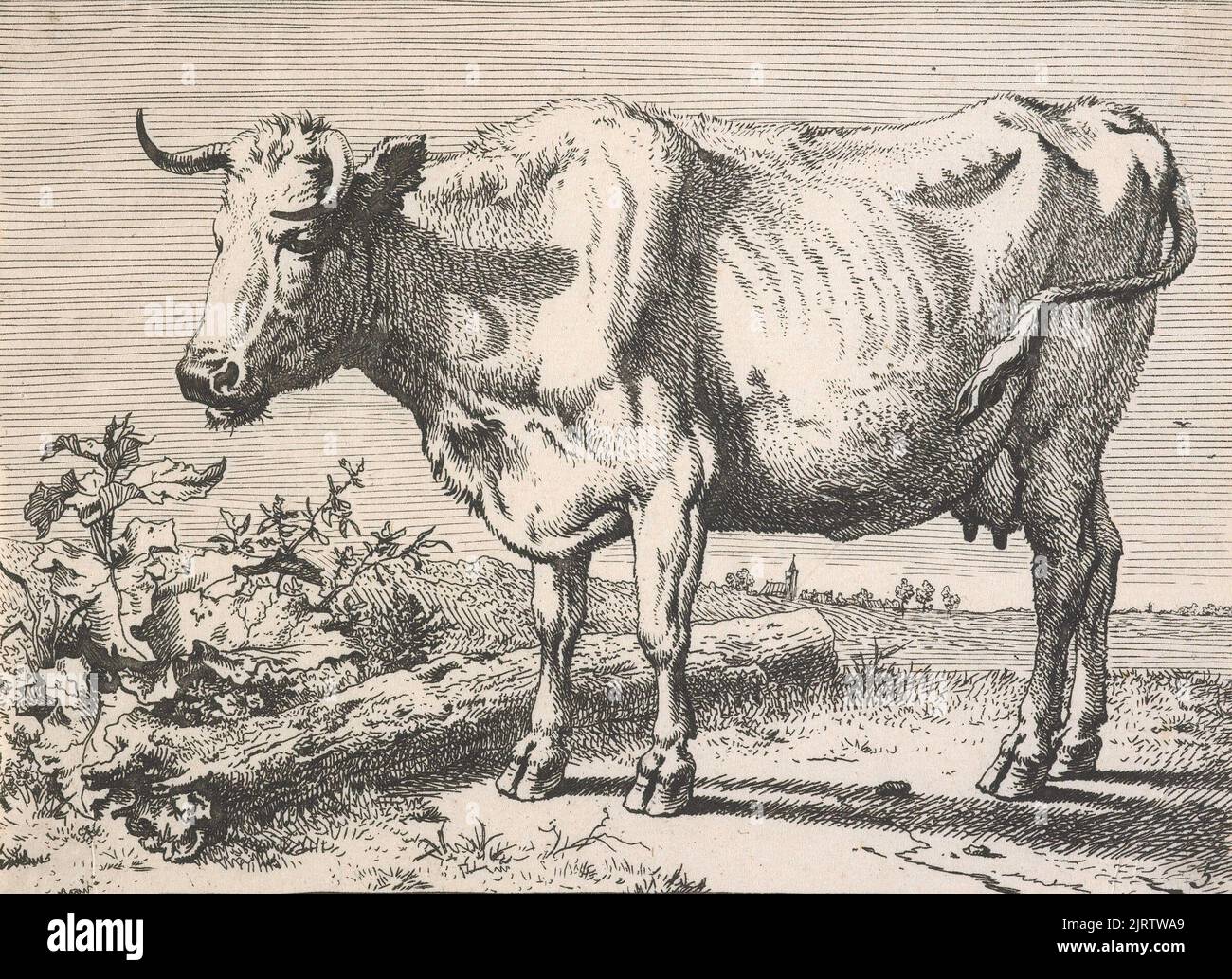 Het bullenboekje hi-res stock photography and images - Alamy