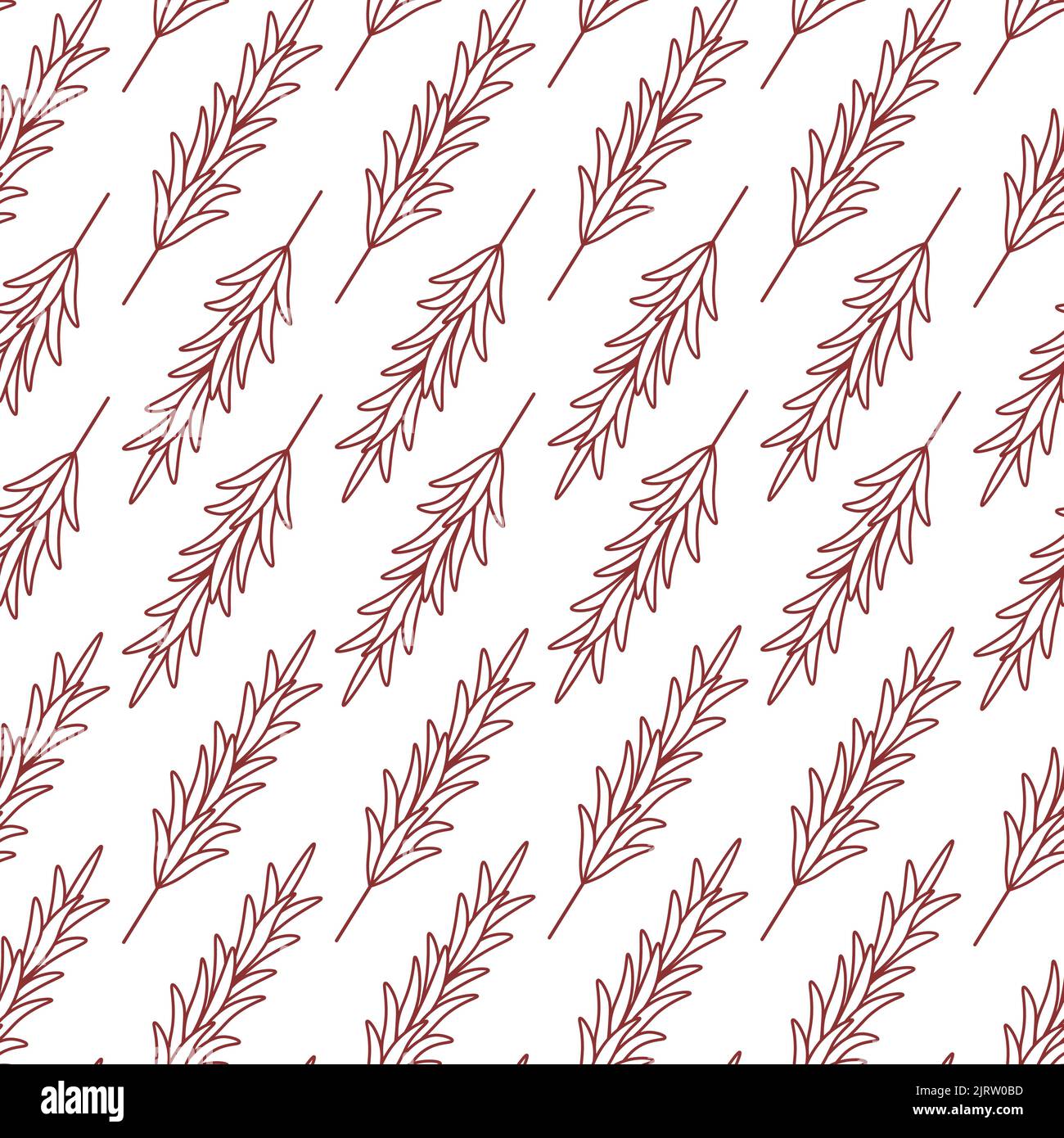 Rosemary. Red sprig of fragrant spice. Repeating vector pattern. Seamless floral ornament ...