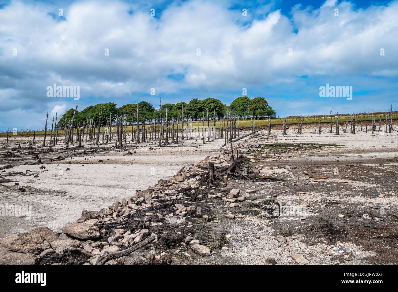 Skeletal structures stand hi-res stock photography and images - Alamy