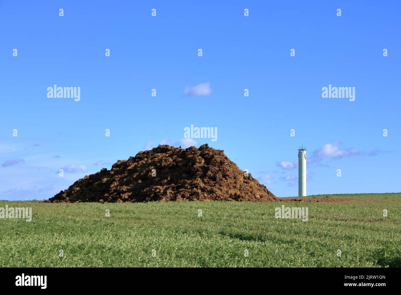 Pile of manure on agricultural field for growing bio products Stock ...