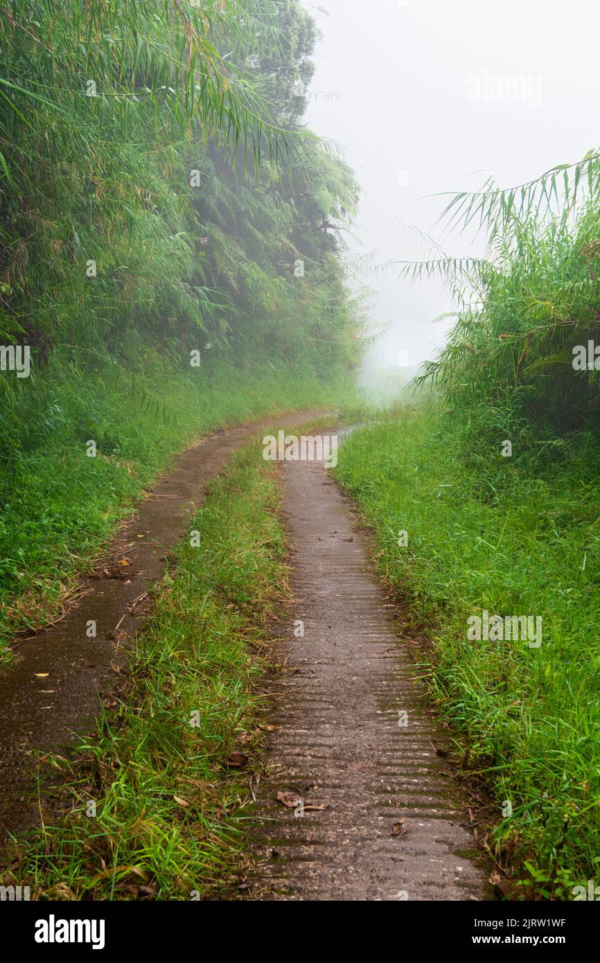 A dirt road in the highlands on the south pacific shows the cloudy ...