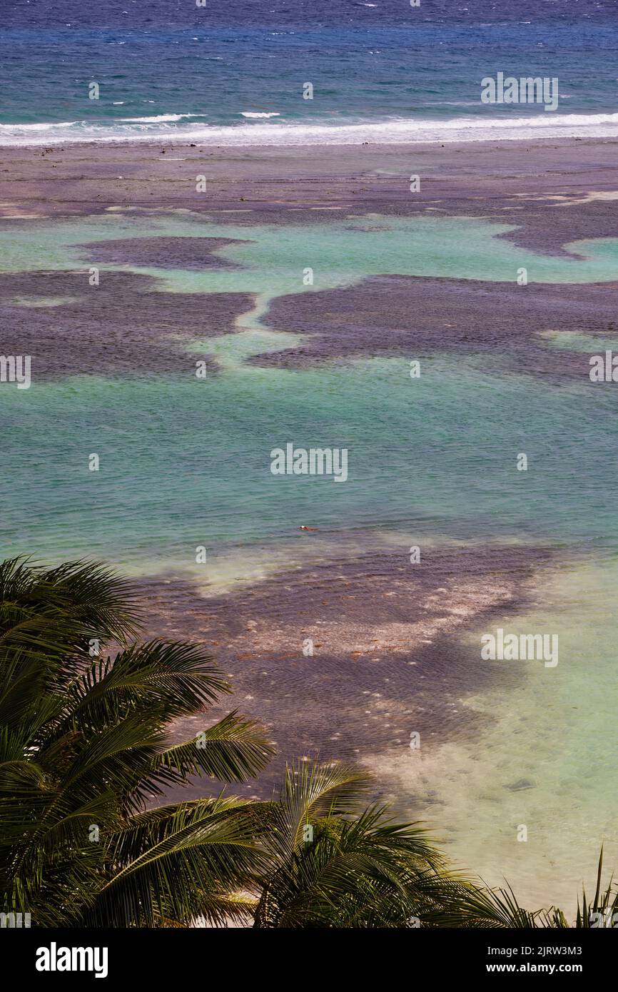 A verticcal shot of the turquoise water of the Mahahual Caribbean Sea ...