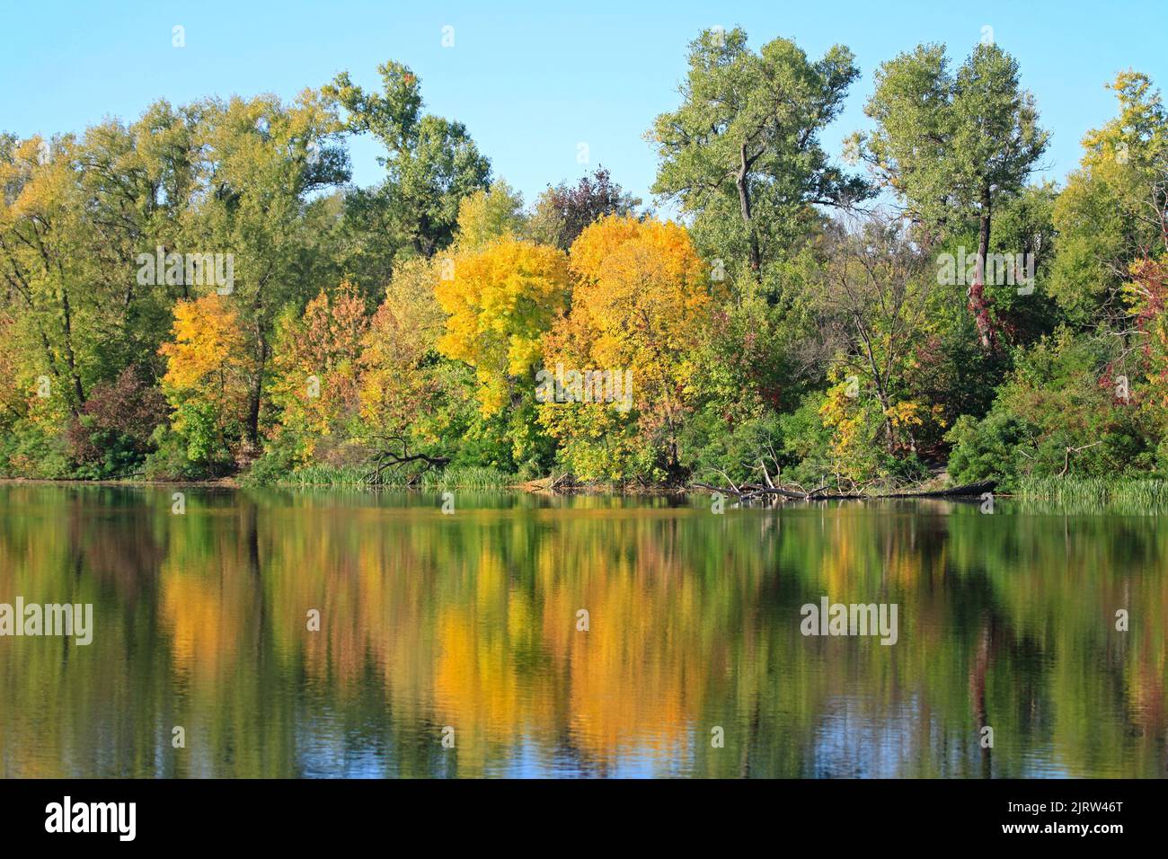 Autumn. Fall season and picturesque landscape with yellow trees and ...
