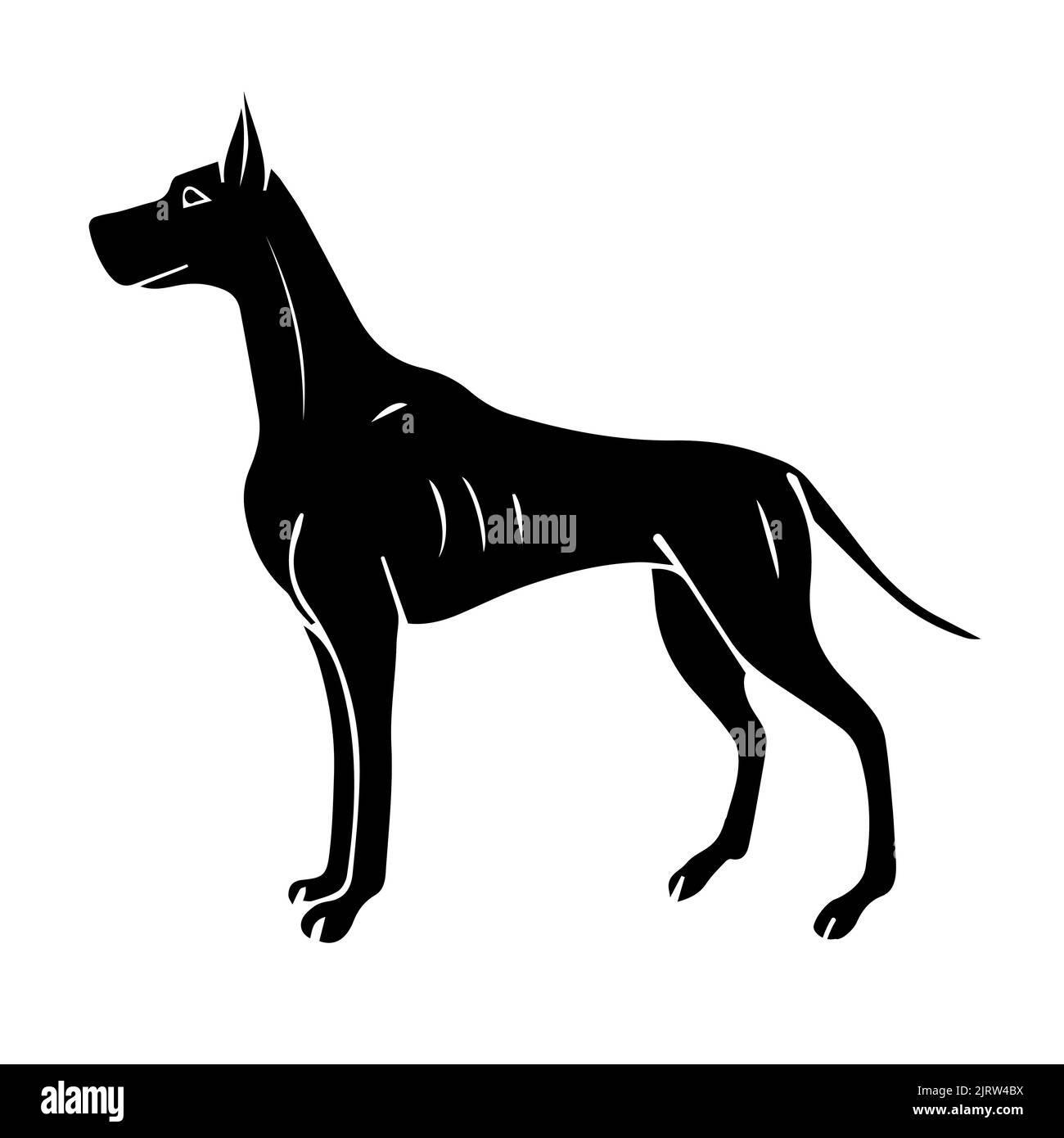Vector hand drawn doodle sketch black great dane dog isolated on white background Stock Vector ...