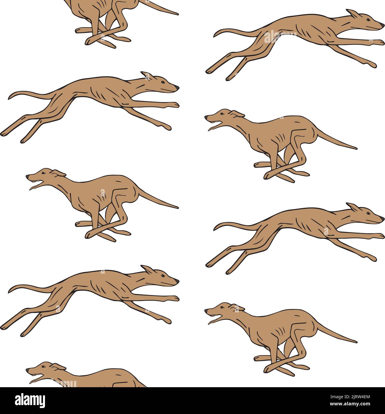 Vector seamless pattern of colored hand drawn sketch doodle running whippet dog isolated on ...