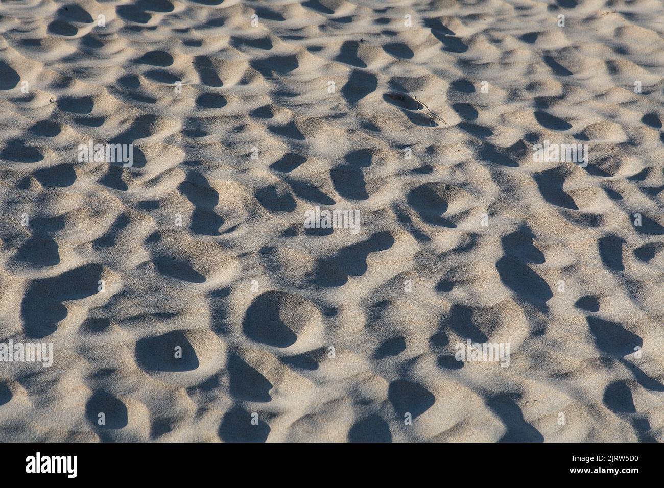 Wet Sand Undulations at Low Tide, Wavy Sand Textures, Natural Art Stock ...