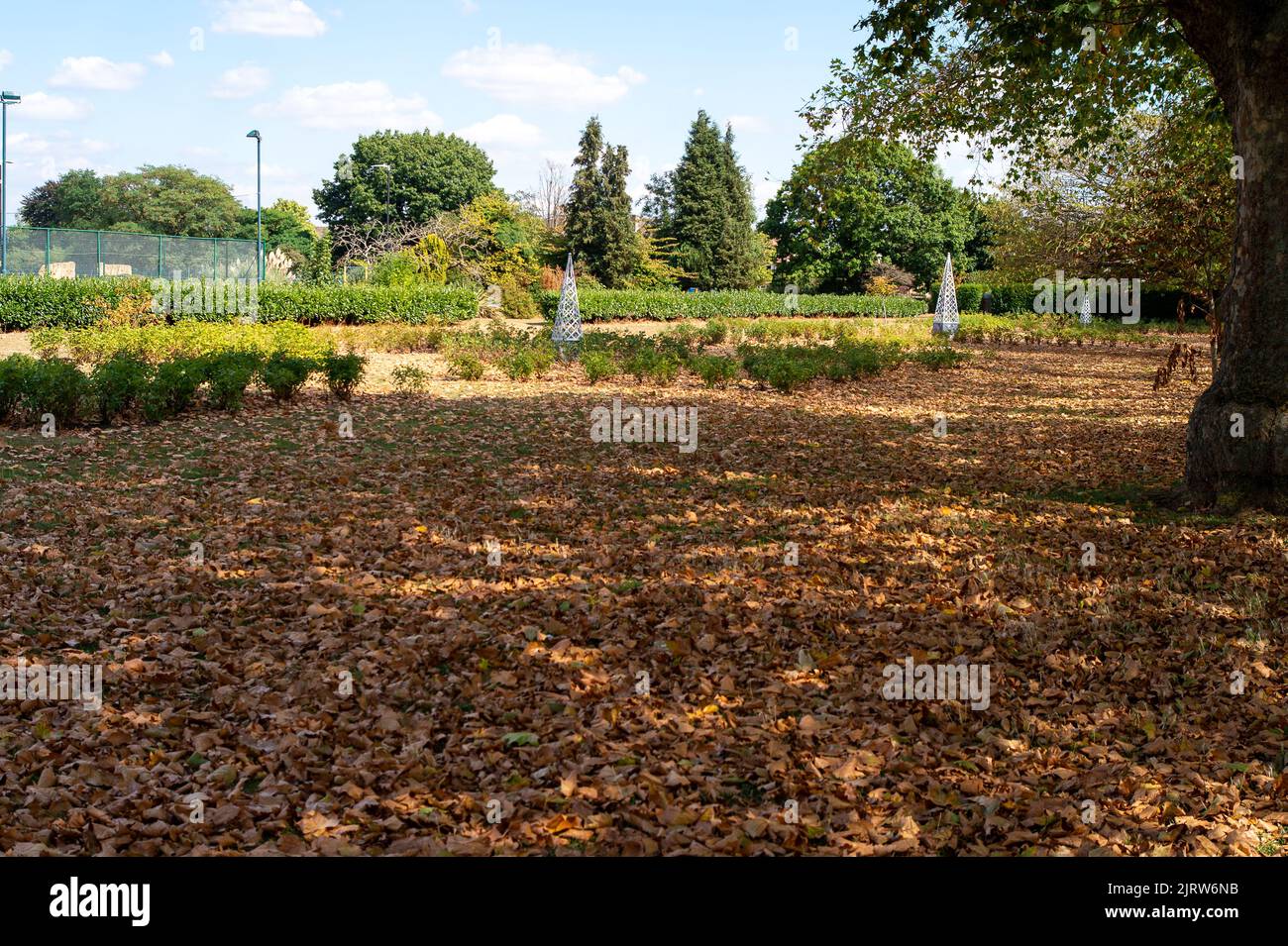 Trees lay united hi-res stock photography and images - Alamy