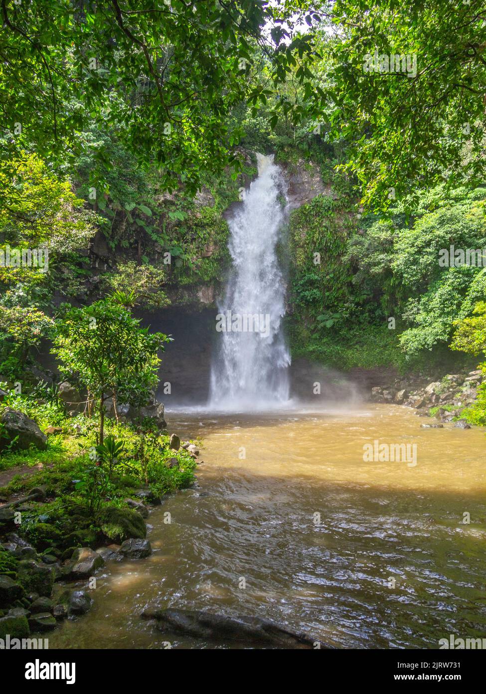 Digital ecosystem hi-res stock photography and images - Alamy