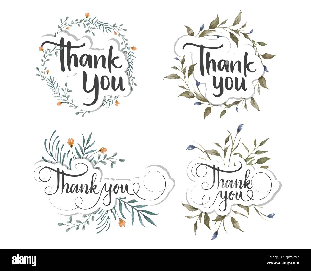 Thank you script decorated by watercolor floral illustration Stock ...