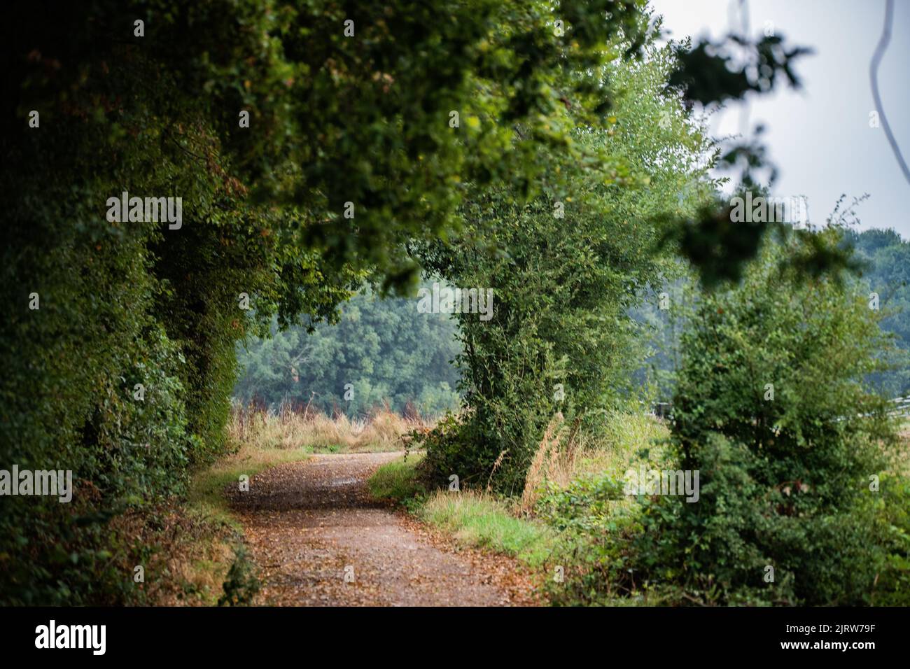 Country countryside countrysides hi-res stock photography and images ...