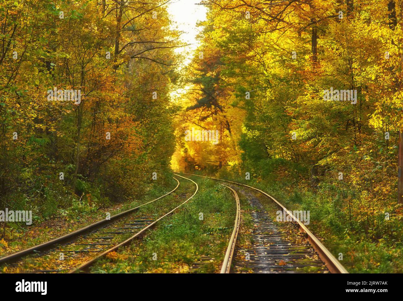 Abandoned railway under autumn colored trees tunnel, golden leafs ...