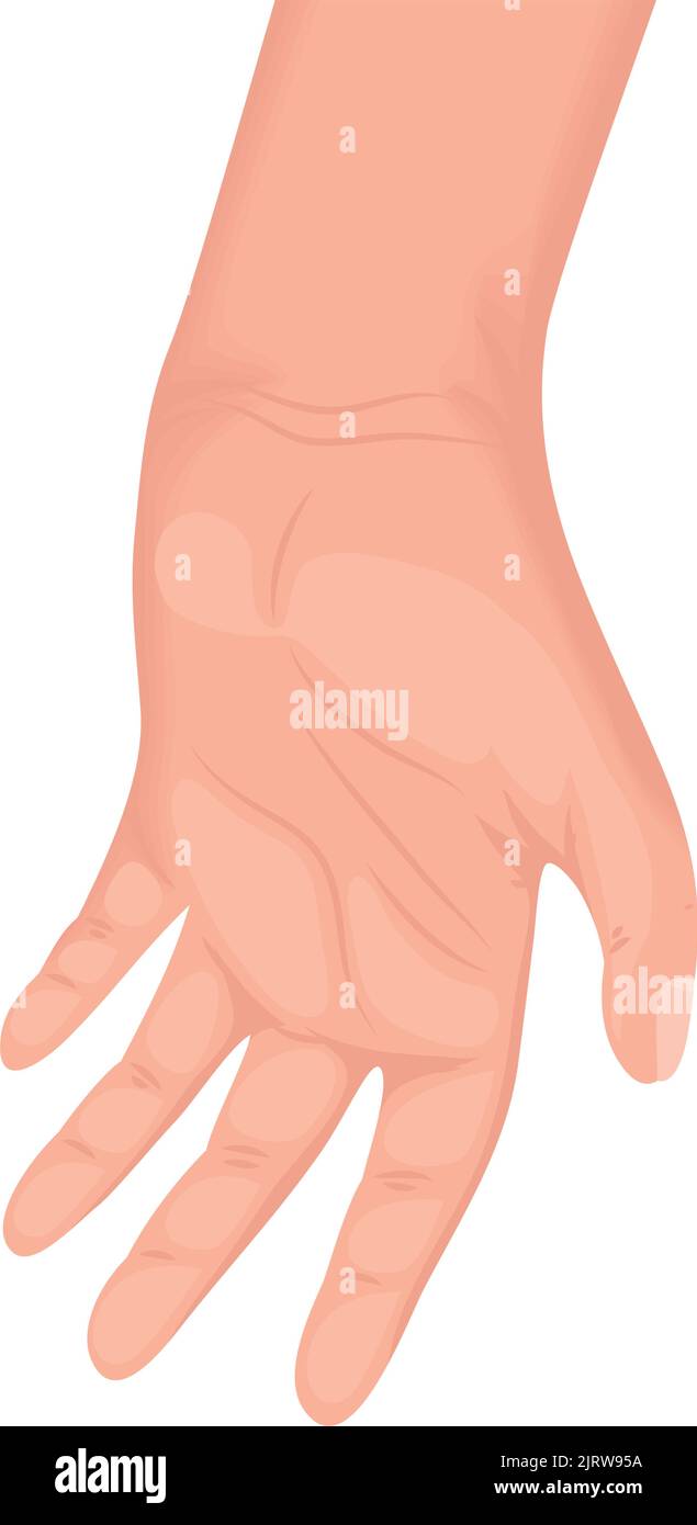 hand human open palm icon Stock Vector Image & Art - Alamy
