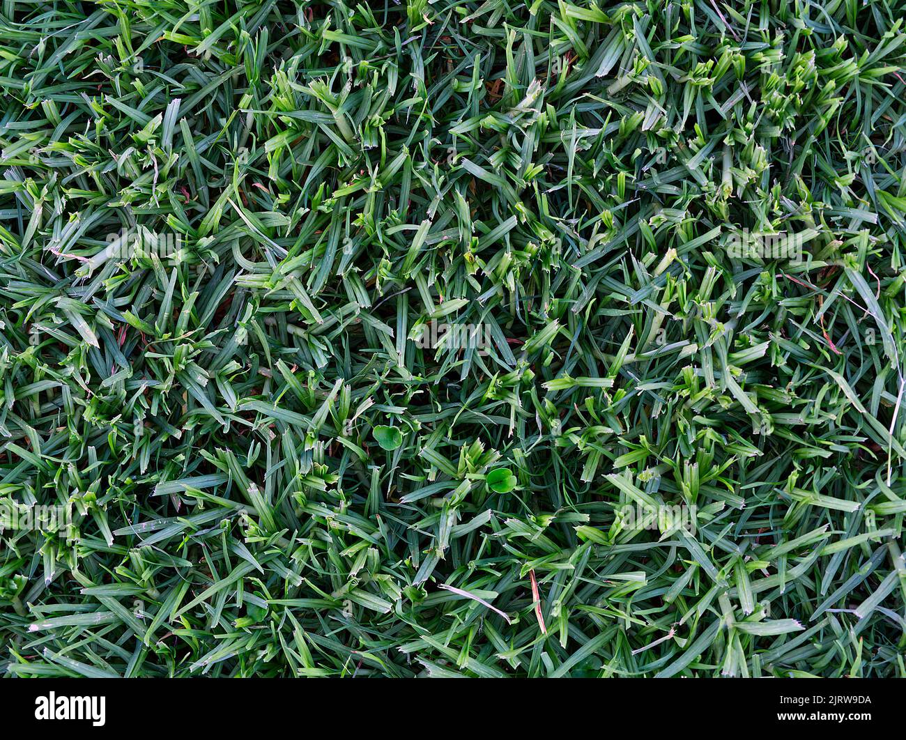 Abstract scenery design hi-res stock photography and images - Alamy