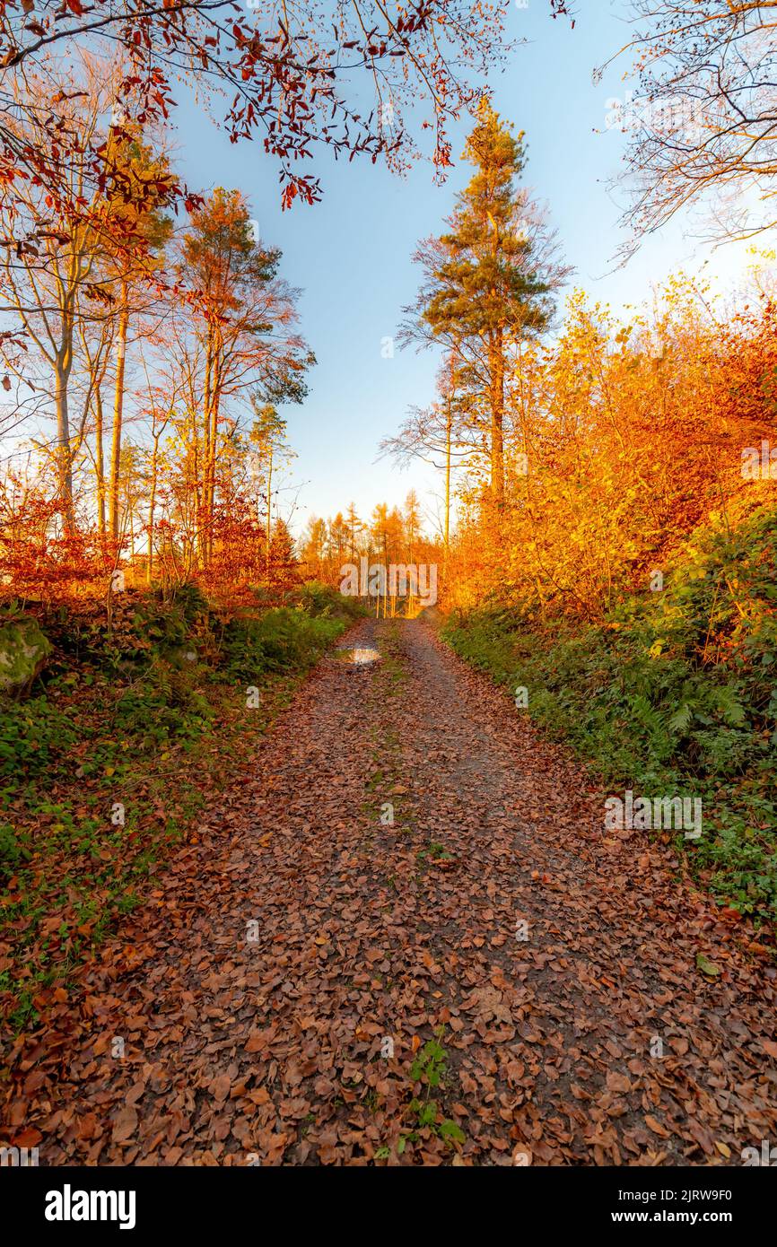 Sunlight colors hi-res stock photography and images - Alamy