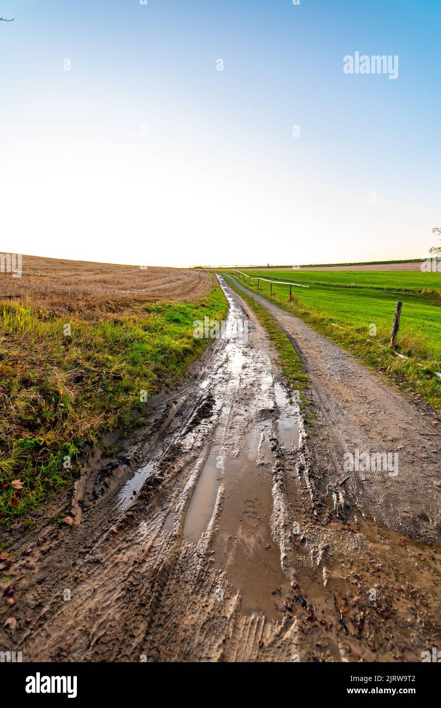 Muddy puddle field hi-res stock photography and images - Alamy