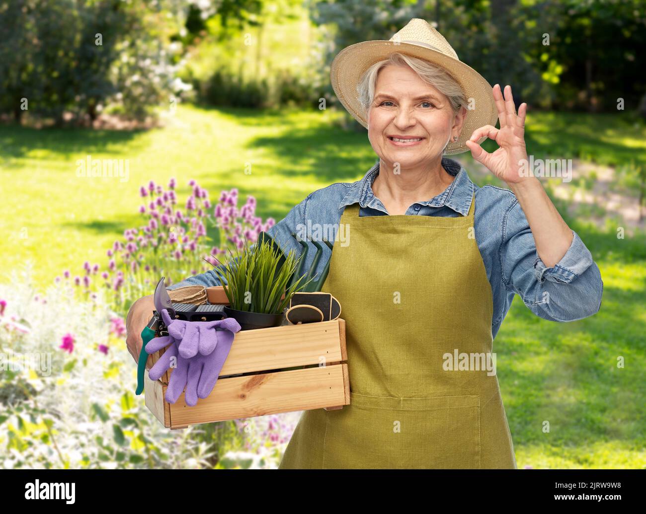 old woman with garden tools in box showing ok Stock Photo - Alamy