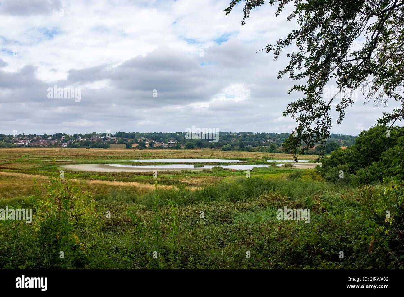 Pulborough Brooks RSPB Nature Reserve in West Sussex looking dry after ...