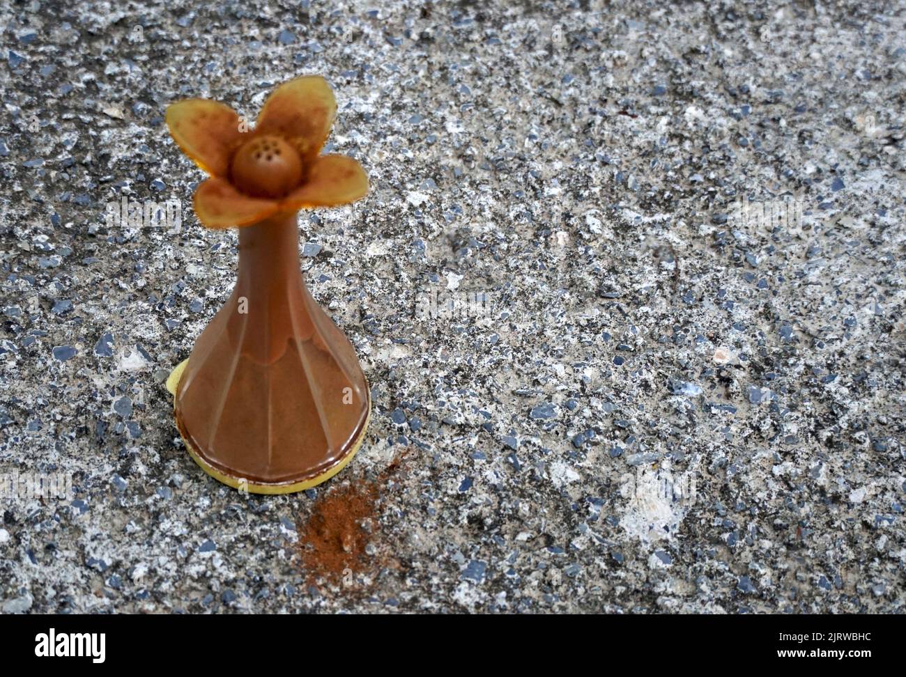 Petal designed spice shaker with ground cinnamon Stock Photo - Alamy