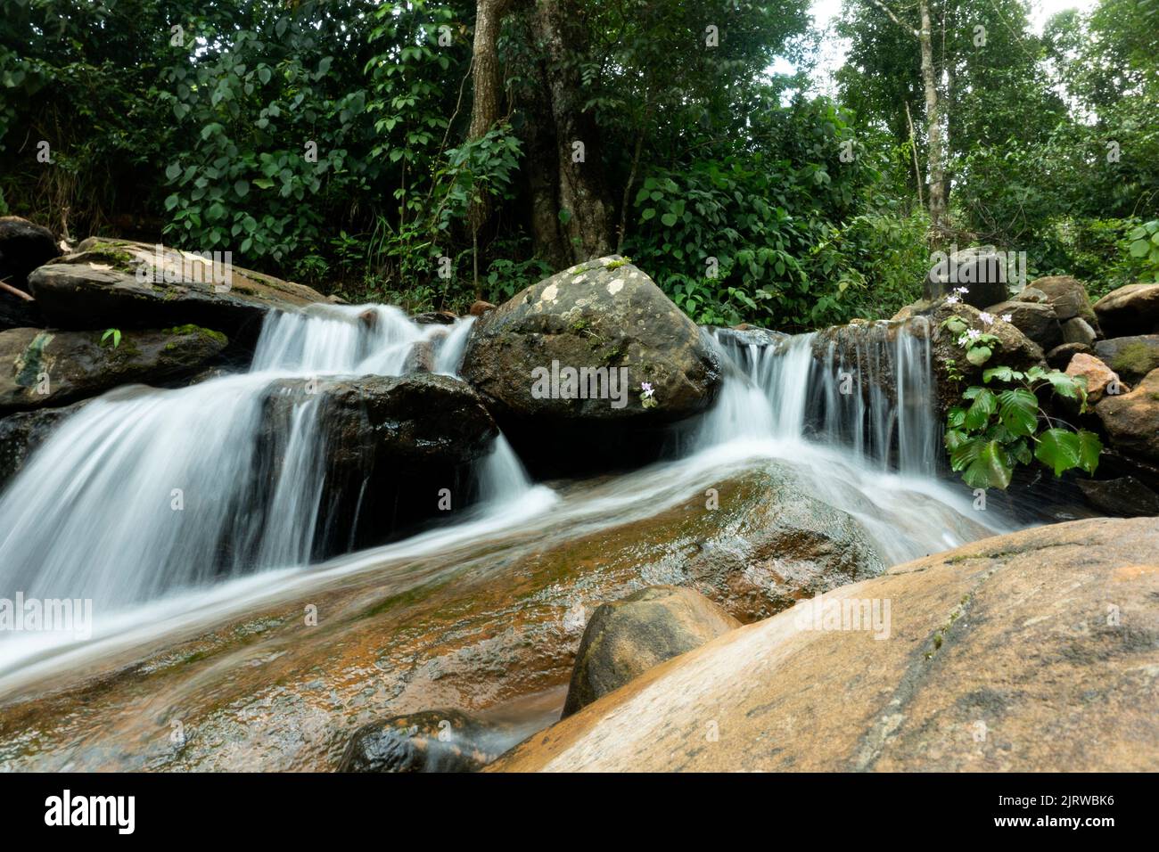 Rocky stream in Western Ghats of India, Karnataka Stock Photo - Alamy