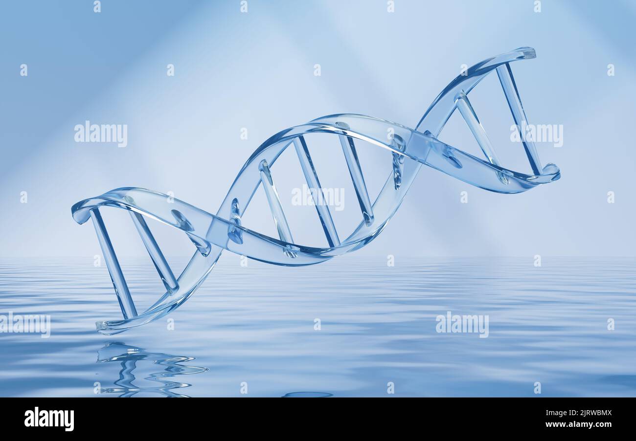 DNA with water surface background, 3d rendering. Computer digital ...