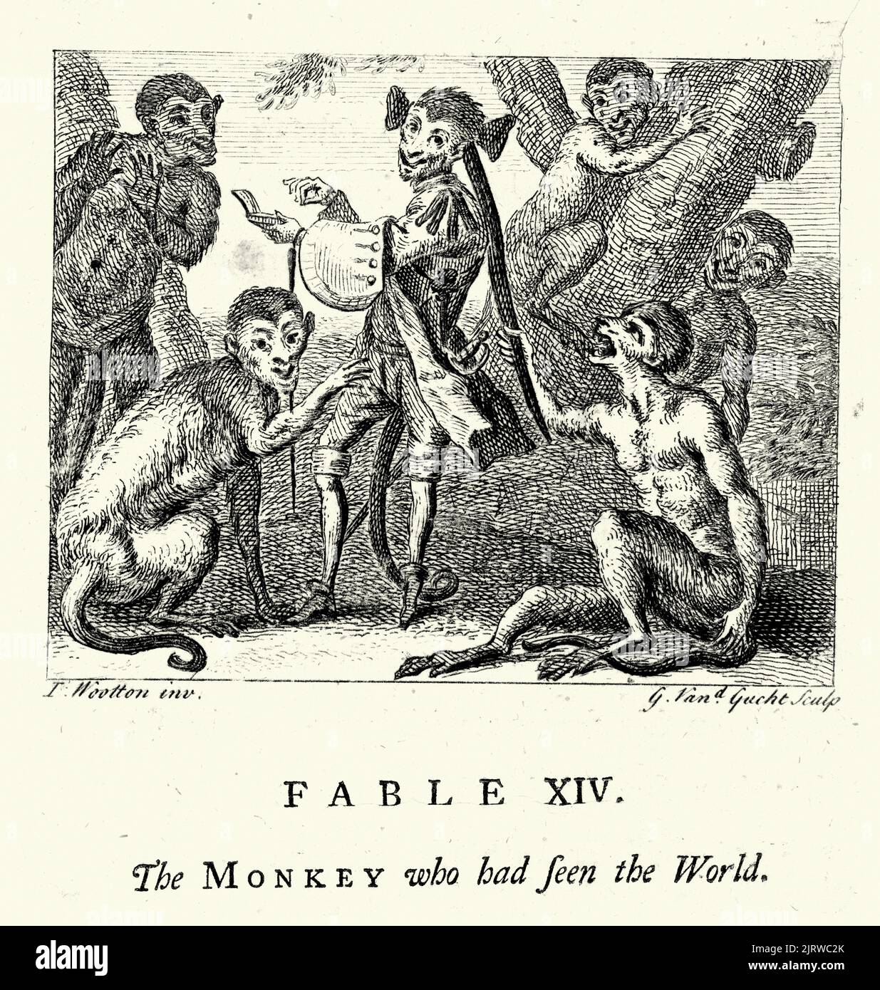 Vintage engraving The Monkey who had seen the World, From the Fables of ...