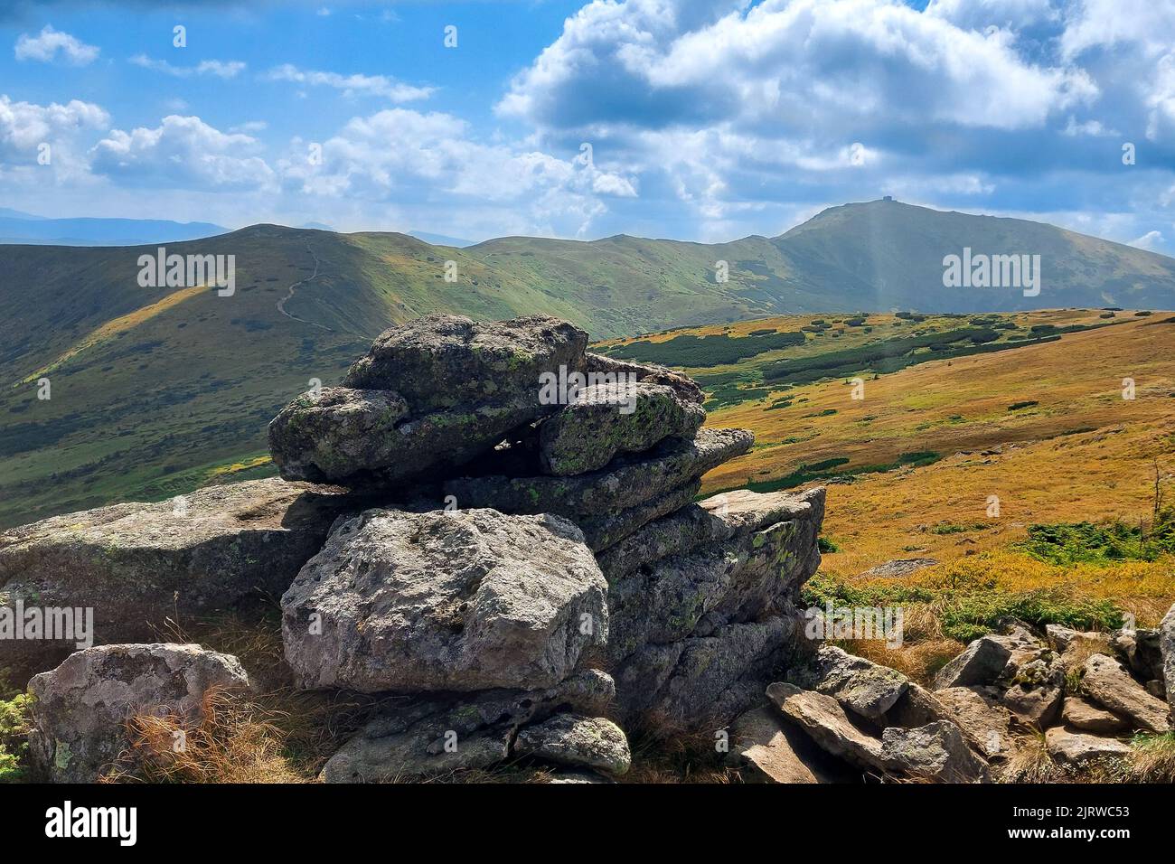 Crest of the mountain range with stone placers and slopes with spruce ...