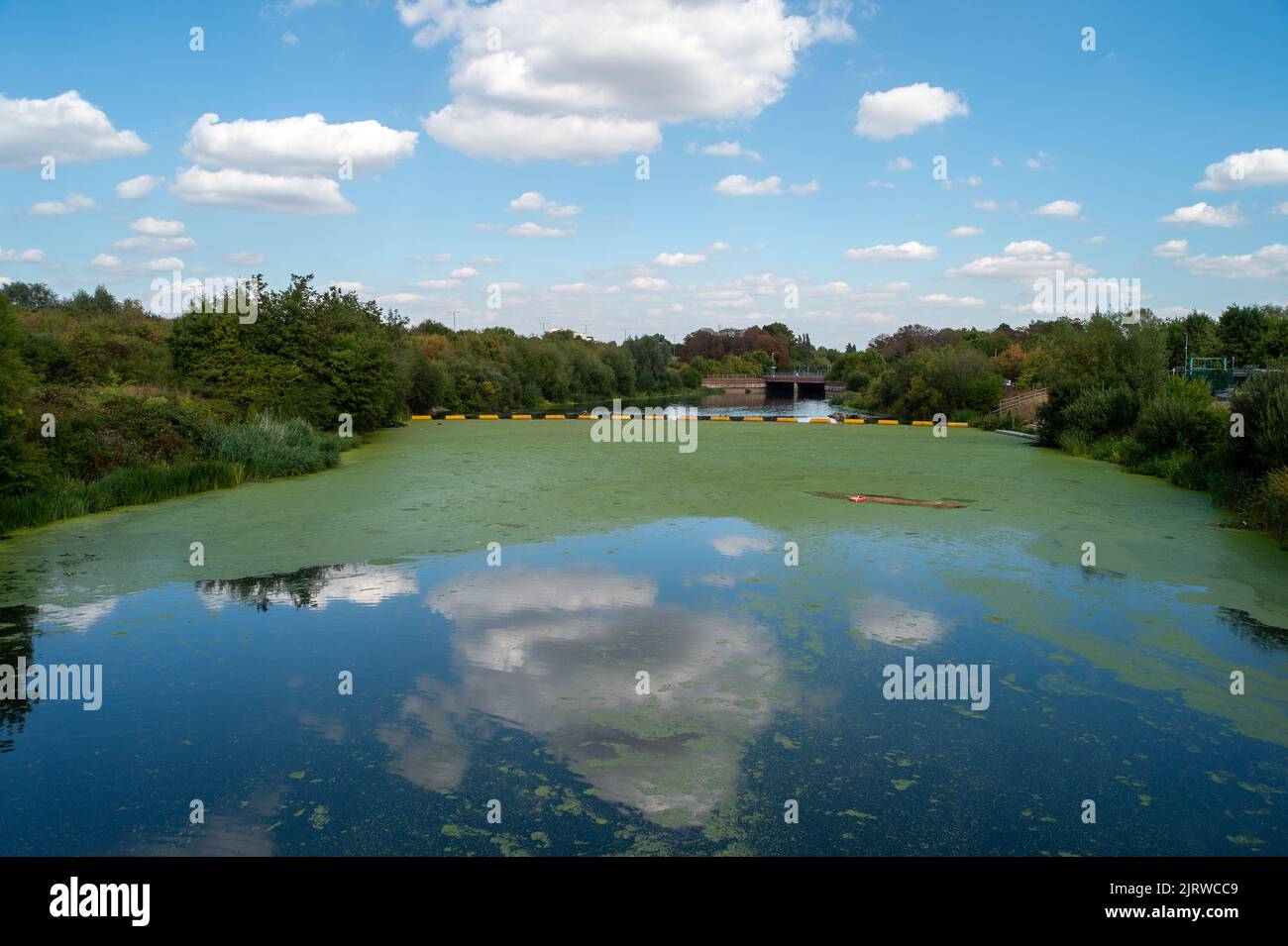 Slough, Berkshire, UK. 26th August, 2022. Algae and duckweeds continue ...