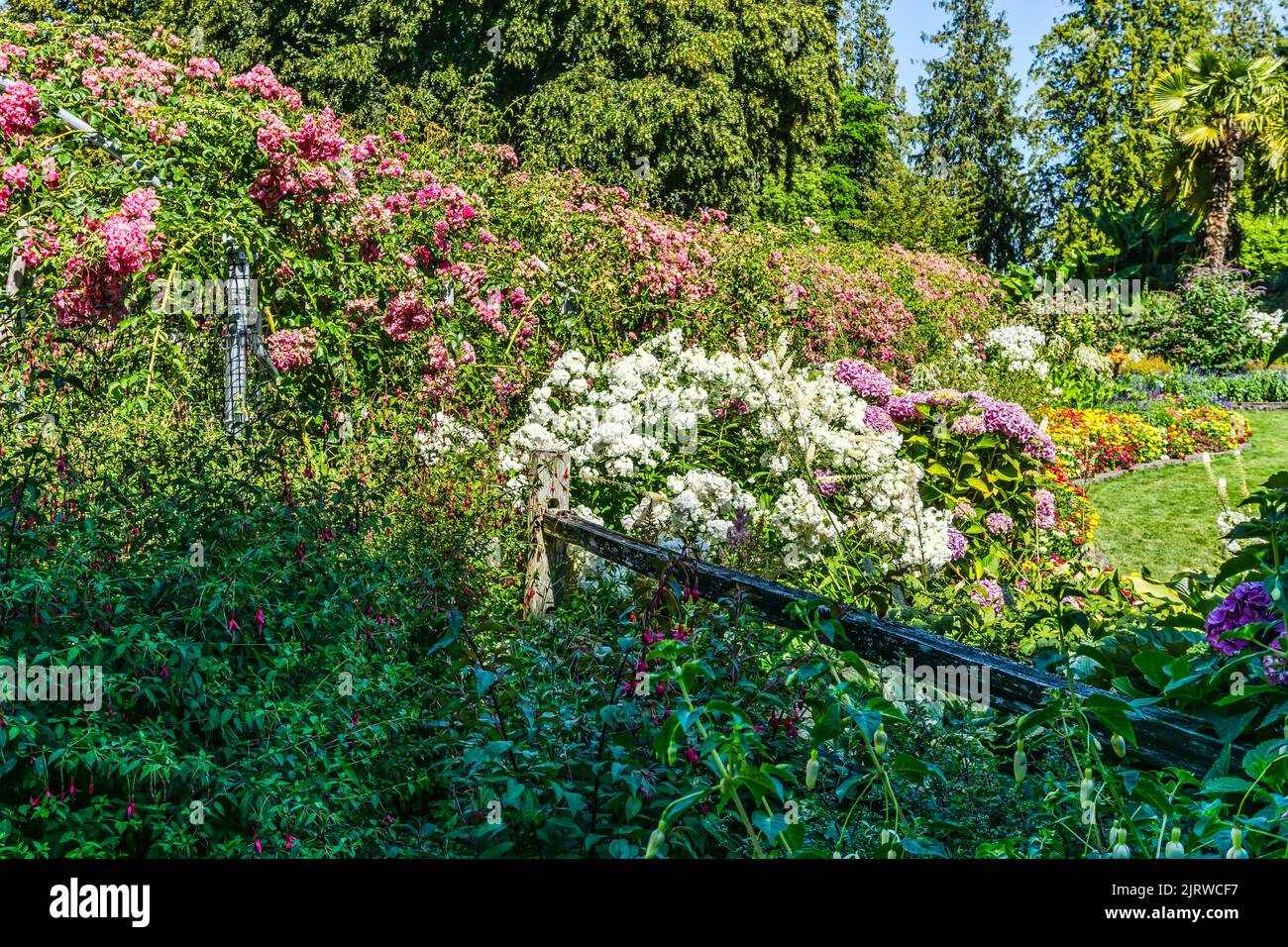 A view of the vast garden at Point Defiance Park in Tacoma, Washington ...