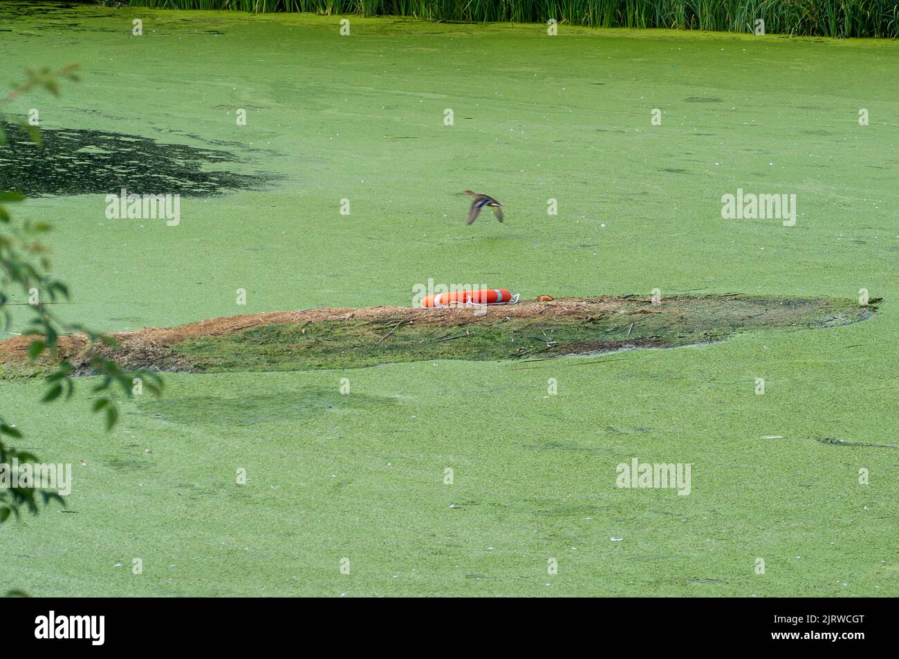 Slough Berkshire Uk 26th August 2022 A Lifebuoy Is Left Thrown