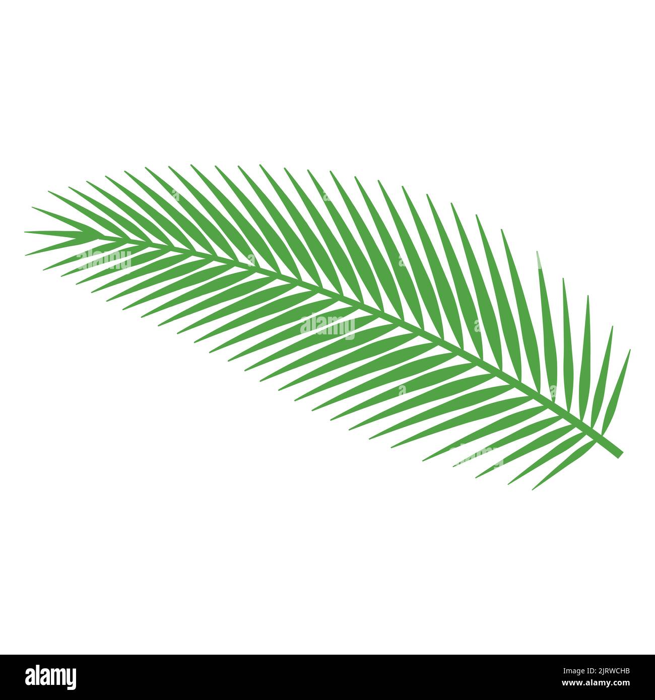 cute of palm leaf on cartoon version,vector illustration Stock Vector ...