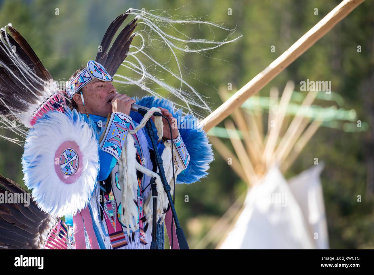 Madison Junction, United States of America. 23 August, 2022. Apsaalooke ...