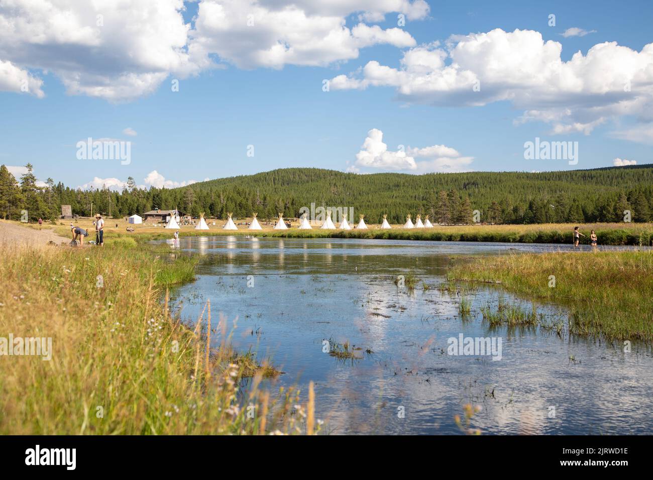Madison Junction, United States of America. 23 August, 2022. Native ...