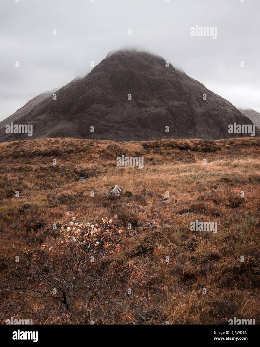 The vertical landscape view of the slopes of the misty mountain Stock ...