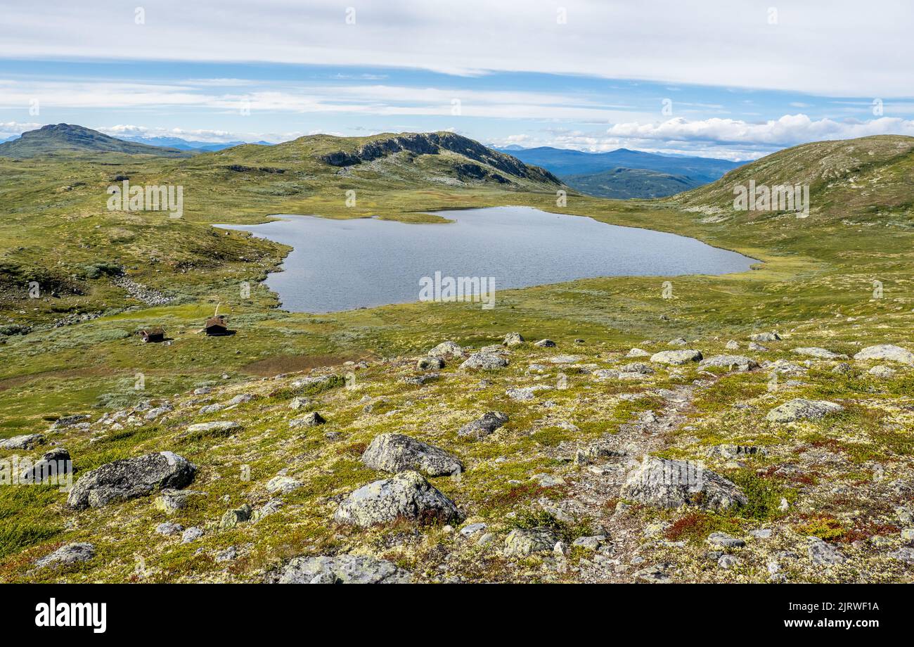 Rossjokolltjernet a typical oligotrophic post-glacial upland lake on ...