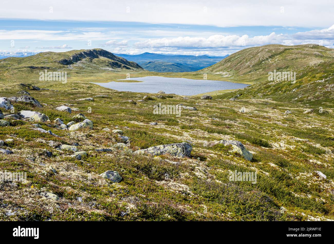 Rossjokolltjernet a typical oligotrophic post-glacial upland lake on ...