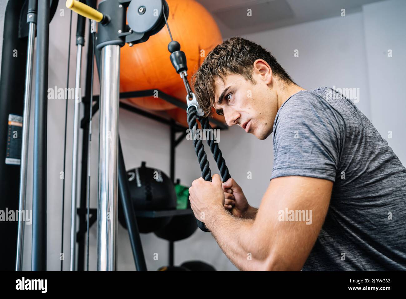 Low angle of serious young sportsman in gray t shirt pulling rope of ...
