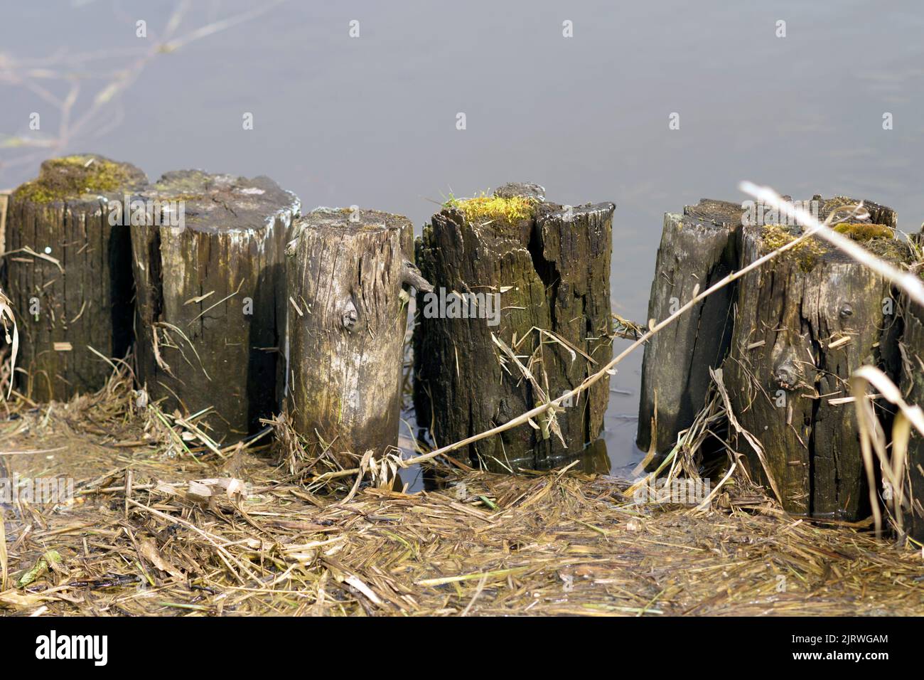 A closeup of a border made from small wooden logs in a pond Stock Photo ...