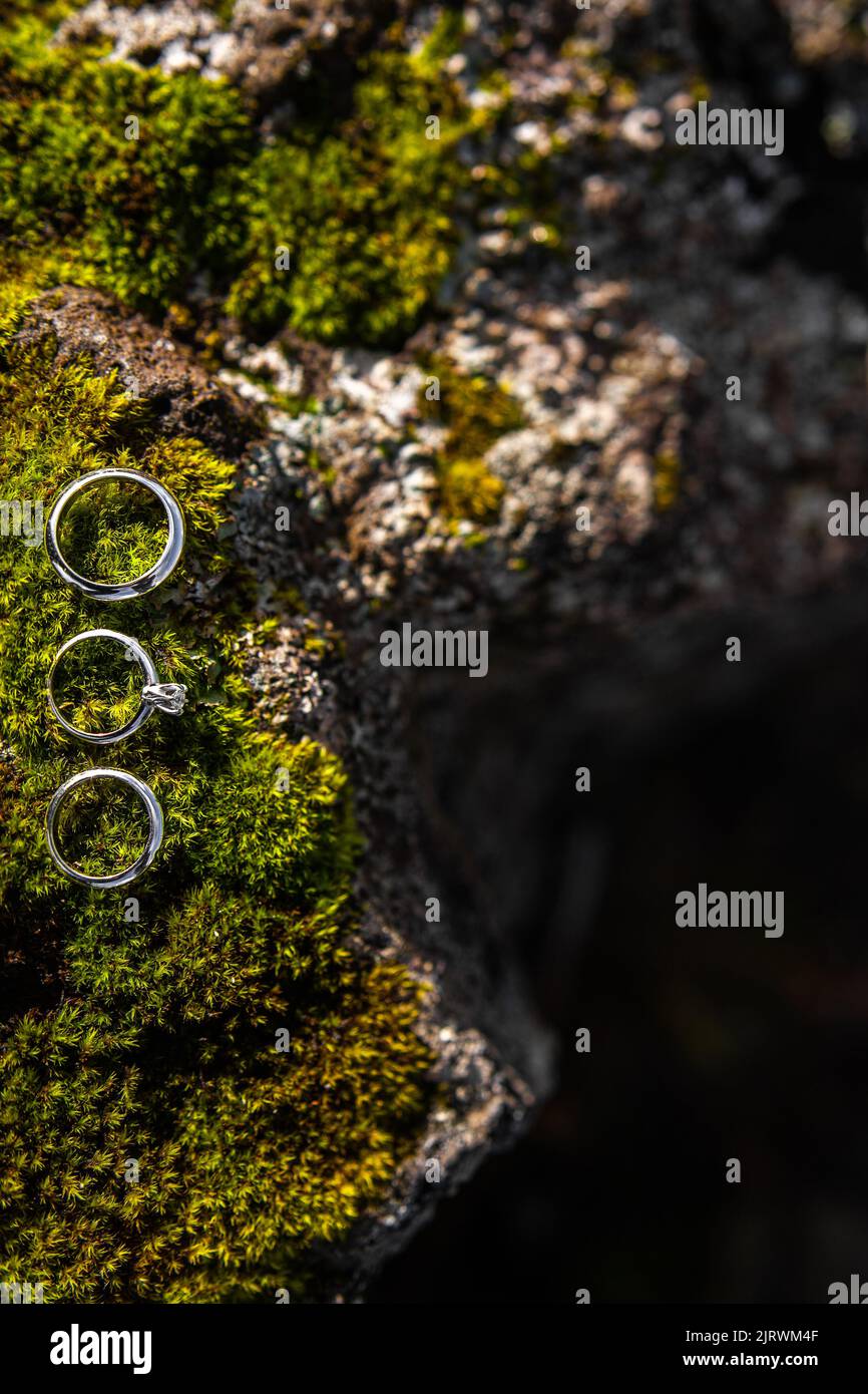 Wedding rings on moss hi-res stock photography and images - Alamy