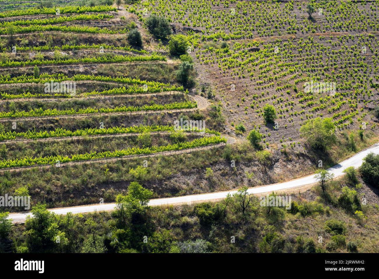 A landscape view of vineyards in the Priorat region in Tarragona, Spain ...