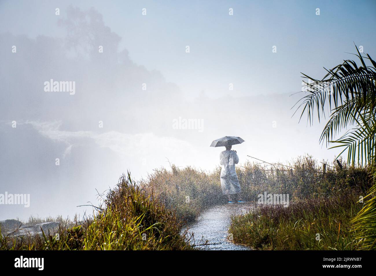 Person with an umbrella watches the Victoria waterfalls through a cloud ...