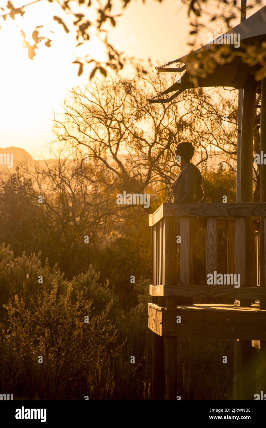 Tree house lodge botswana hi-res stock photography and images - Alamy