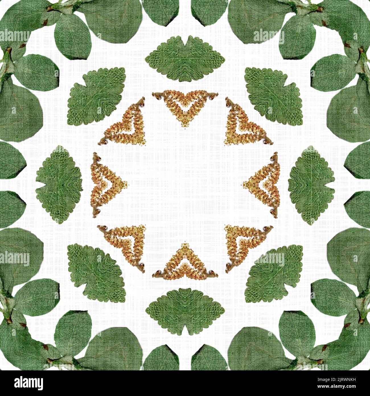Foliage kaleidoscope seamless texture pattern. Trendy optic fresh ...