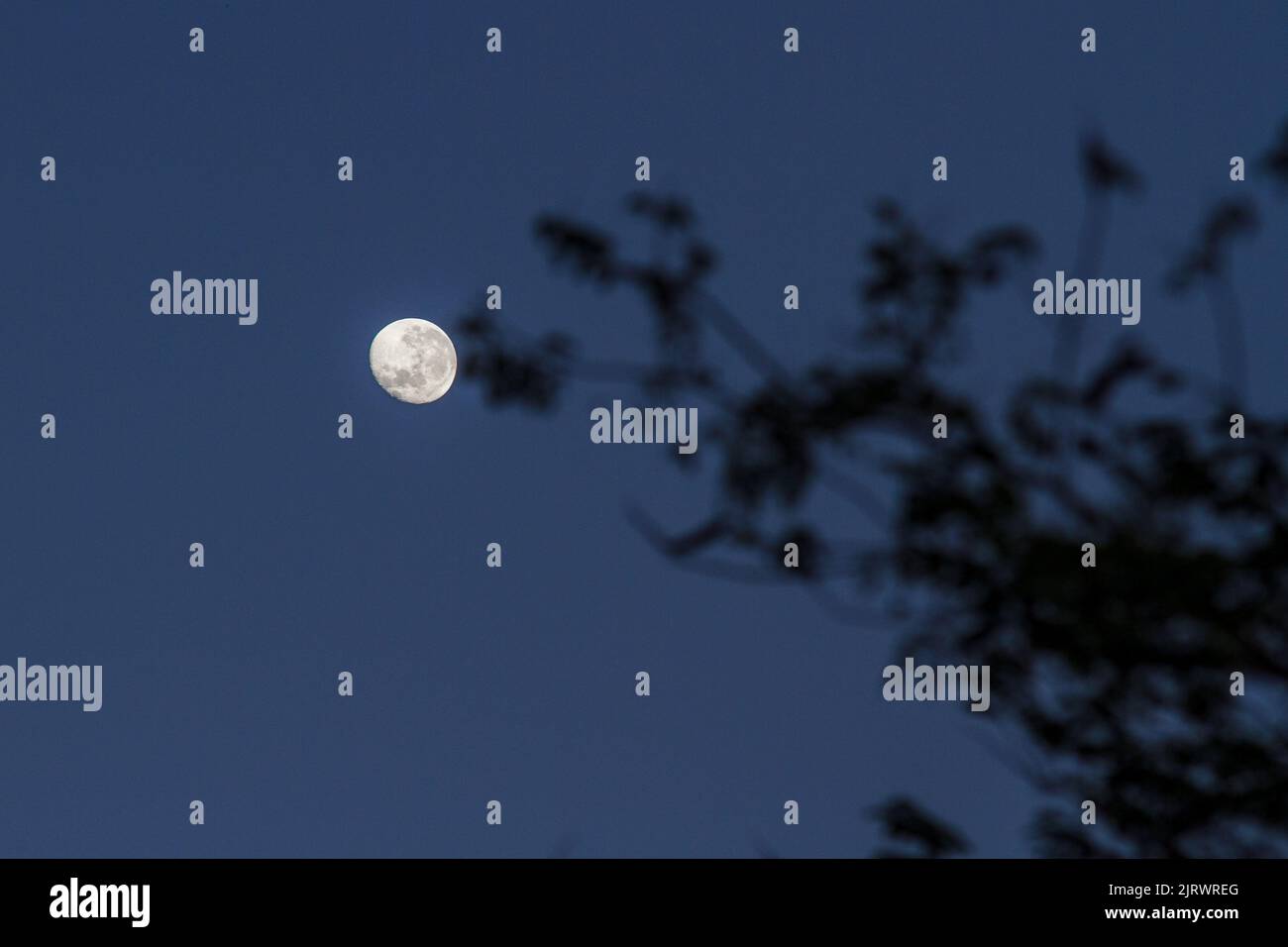 Lunar surface panorama hi-res stock photography and images - Alamy