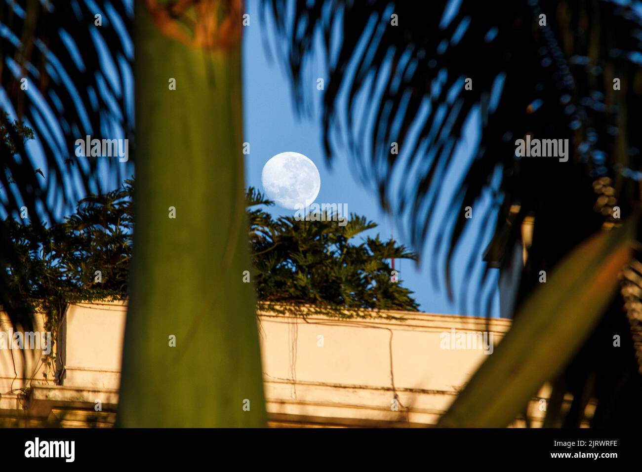 Lunar surface panorama hi-res stock photography and images - Alamy