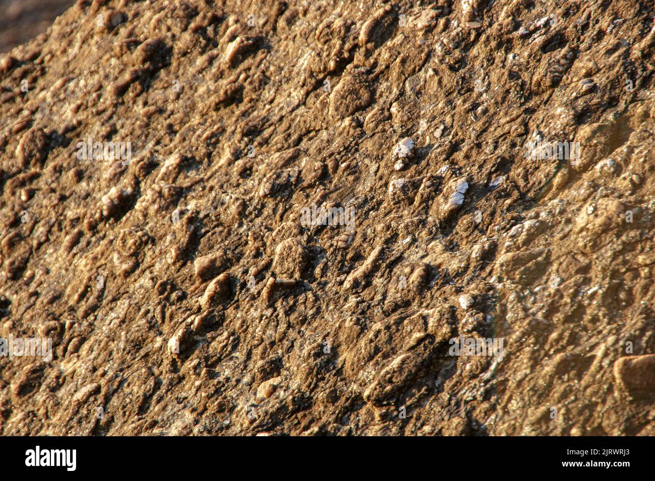 Luxury details hi-res stock photography and images - Alamy