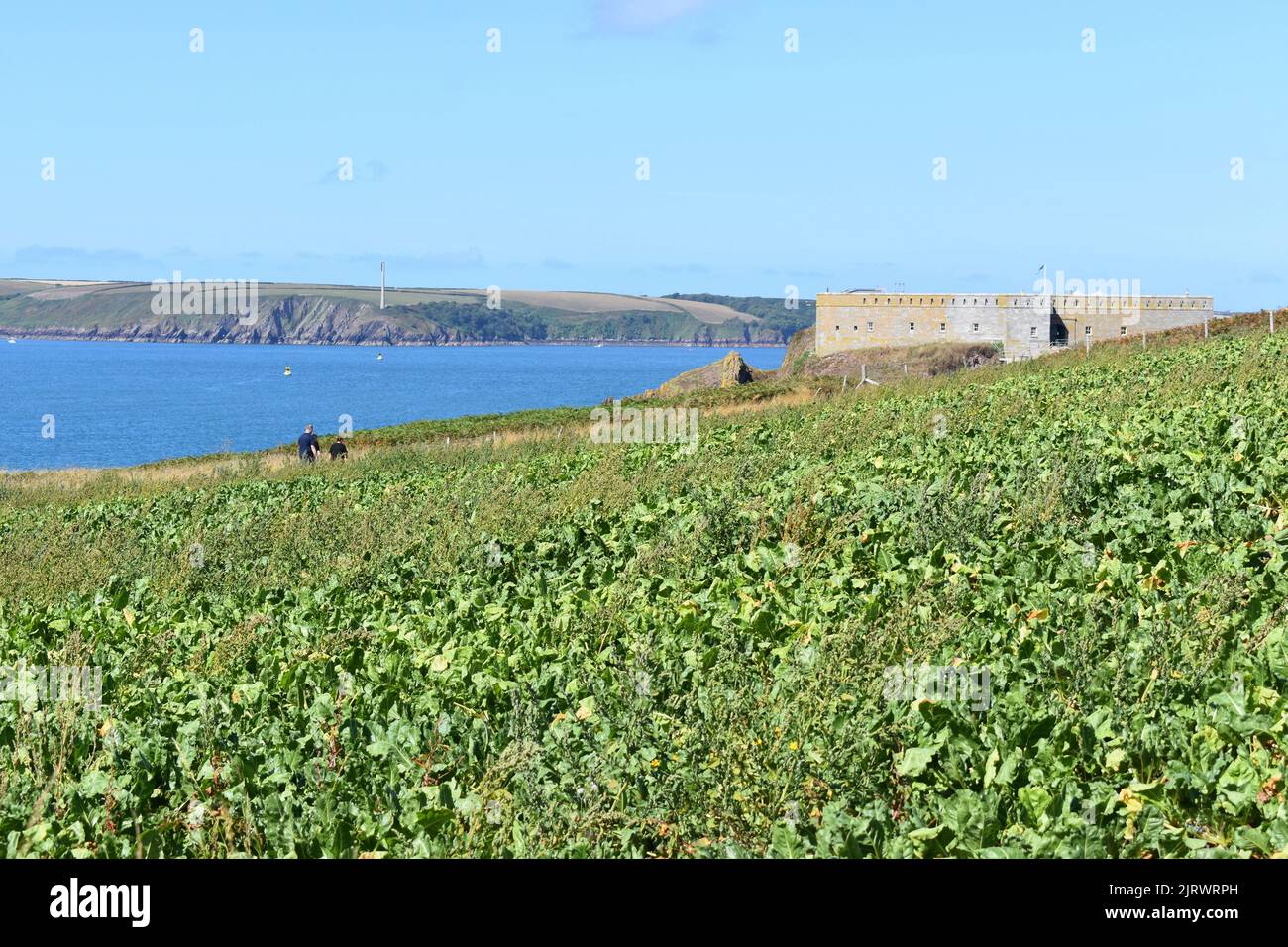 Pembrokeshire coastal path and Thorne island fort, Angle, Pembrokeshire ...