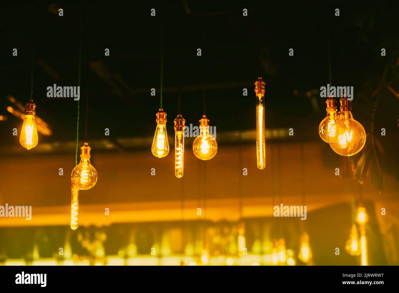Light bulbs of different shapes glow beautifully, hanging on green ...
