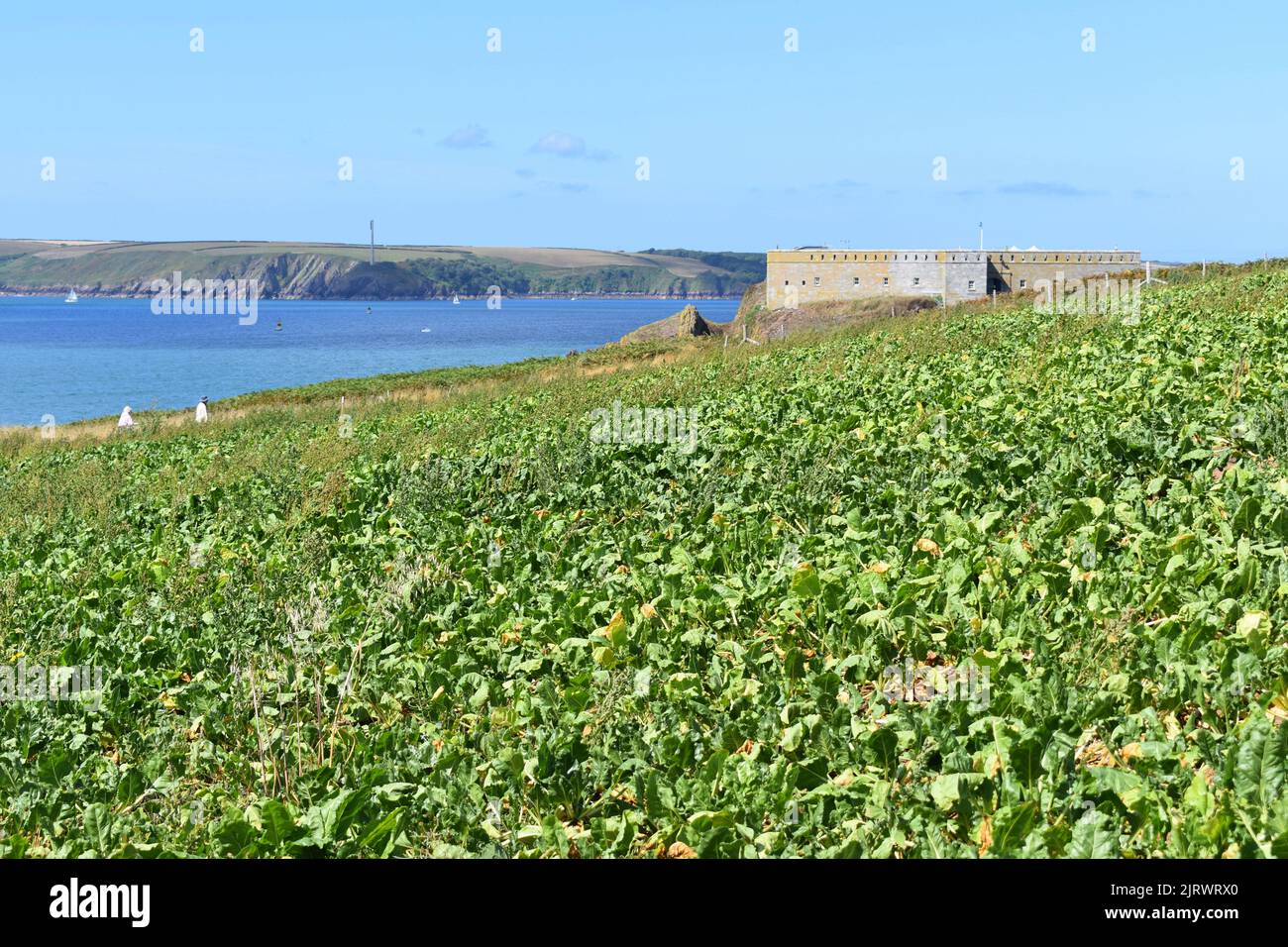 Pembrokeshire coastal path and Thorne island fort, Angle, Pembrokeshire ...