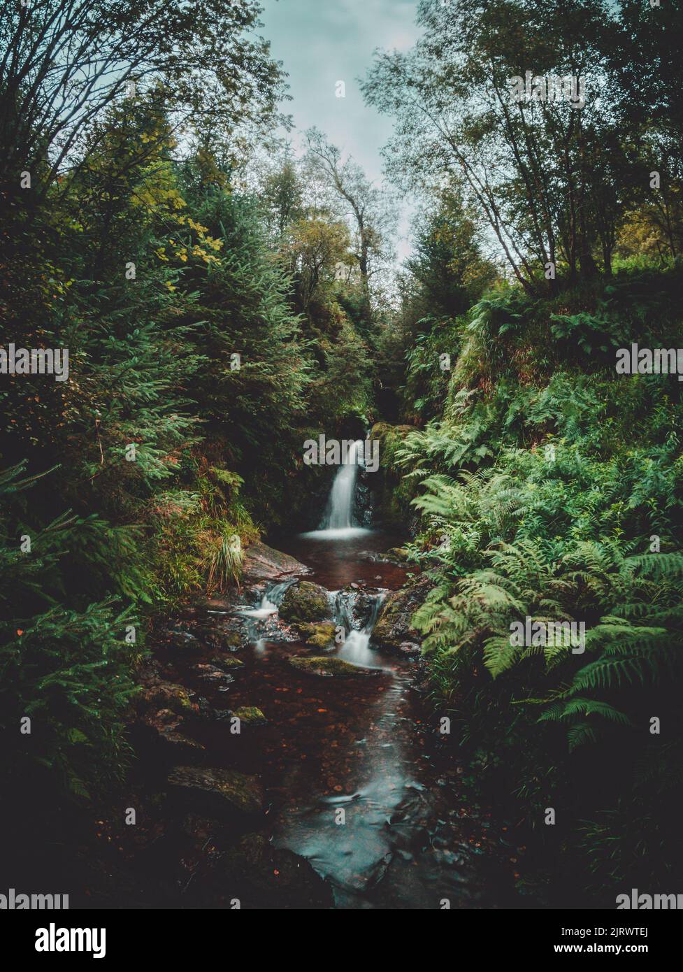 Waterfall in Gortin Glens Forest Park Omagh Ireland Stock Photo - Alamy