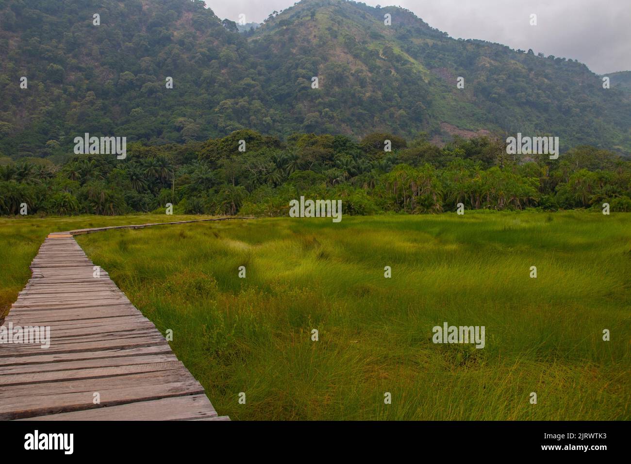 Sempaya Hot Springs are the most outstanding attractions in Semiliki ...